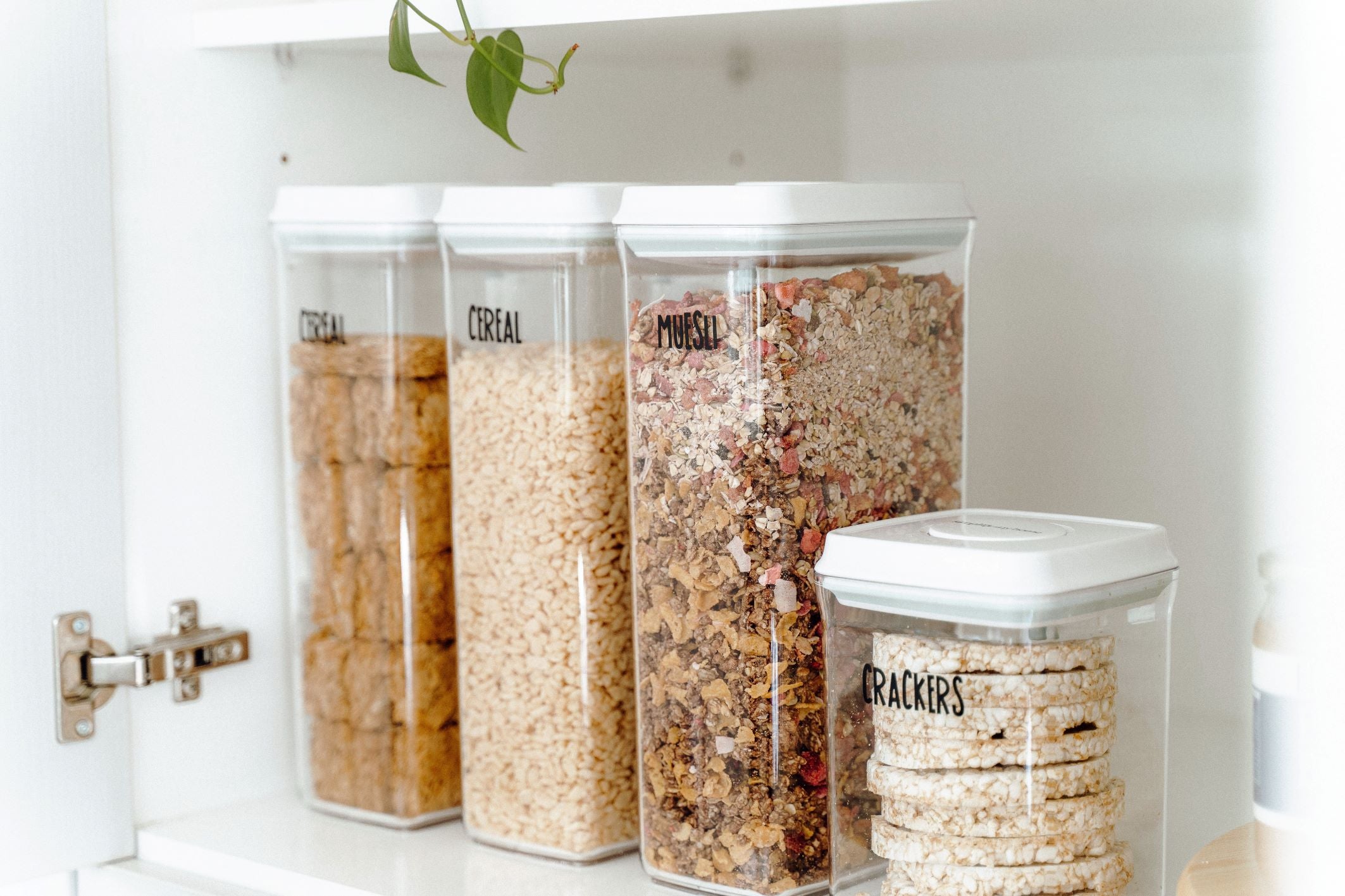 Custom Labels - Medium (Standard size) – SIMPLIFY MY HOME